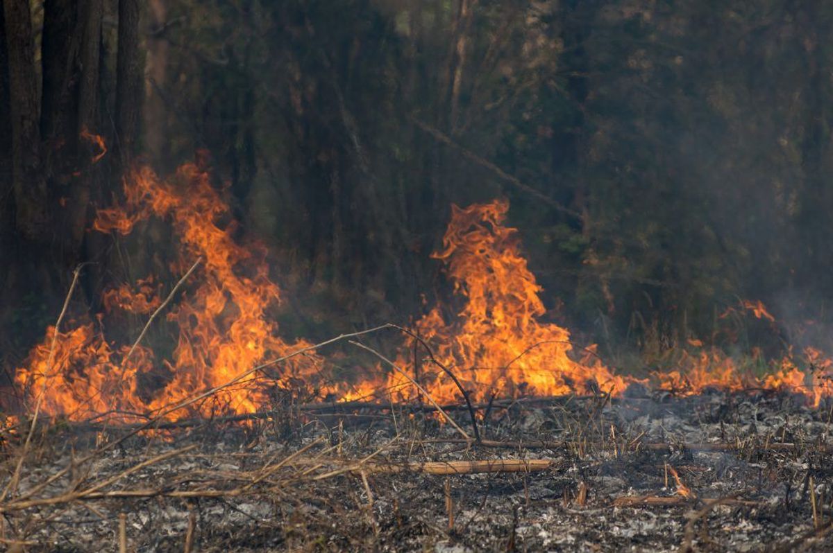 Ekstrem brandfare: Flere kommuner indfører afbrændingsforbud • Newsbreak.dk Ekstrem brandfare: Flere kommuner indfører afbrændingsforbud • Newsbreak.dk