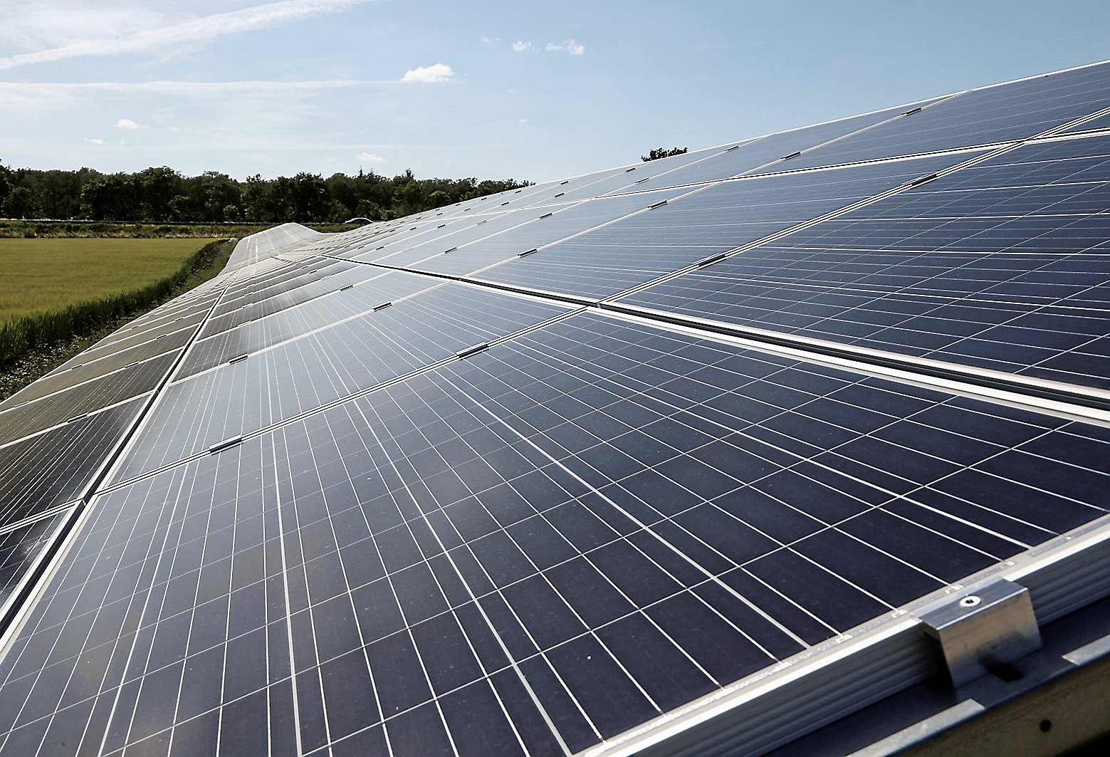 Forsyning vil investere i solcellepark – Sjællandske Nyheder