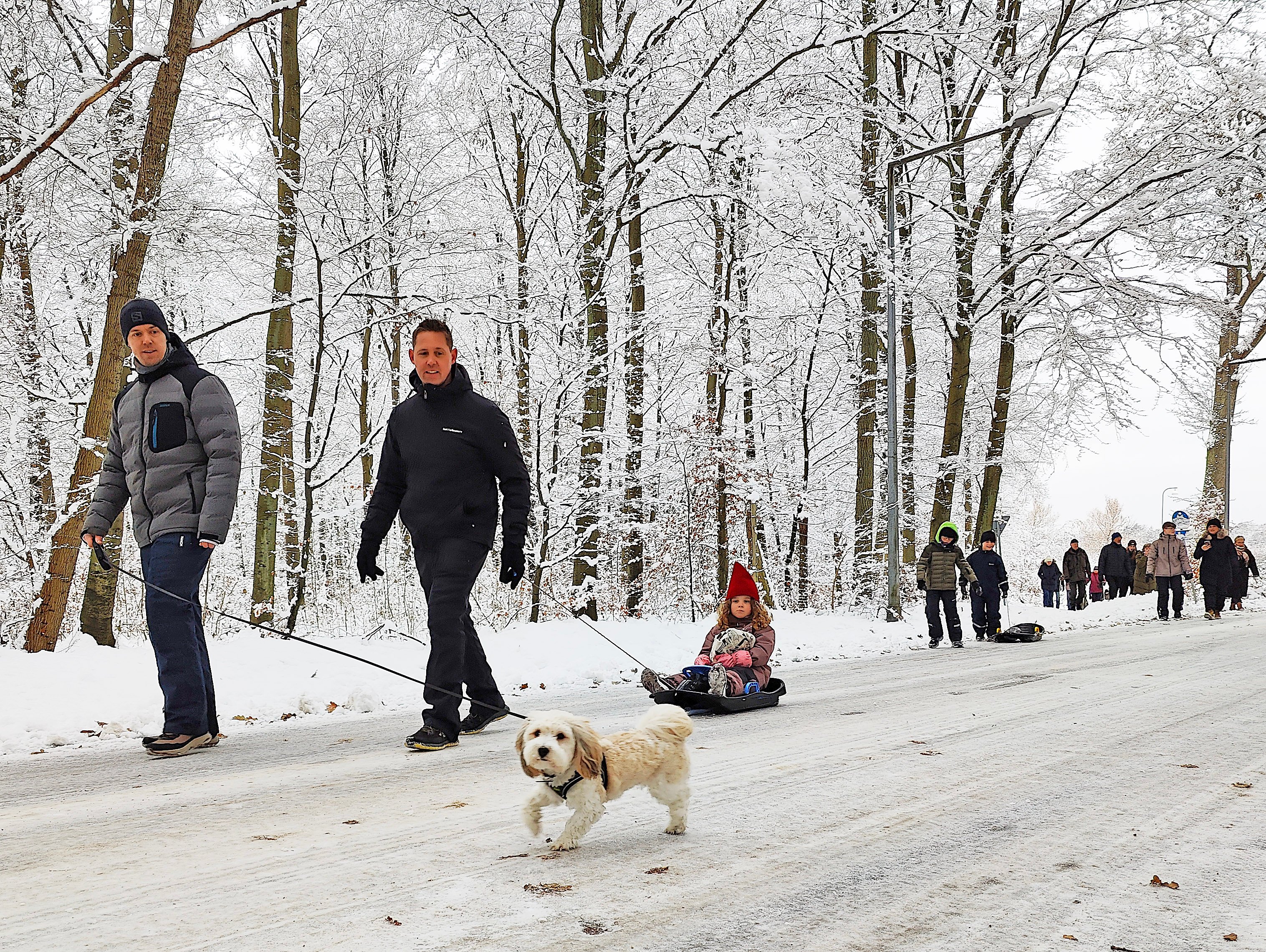 172 på mærkerne på frostbelagte skovstier – Sjællandske Nyheder