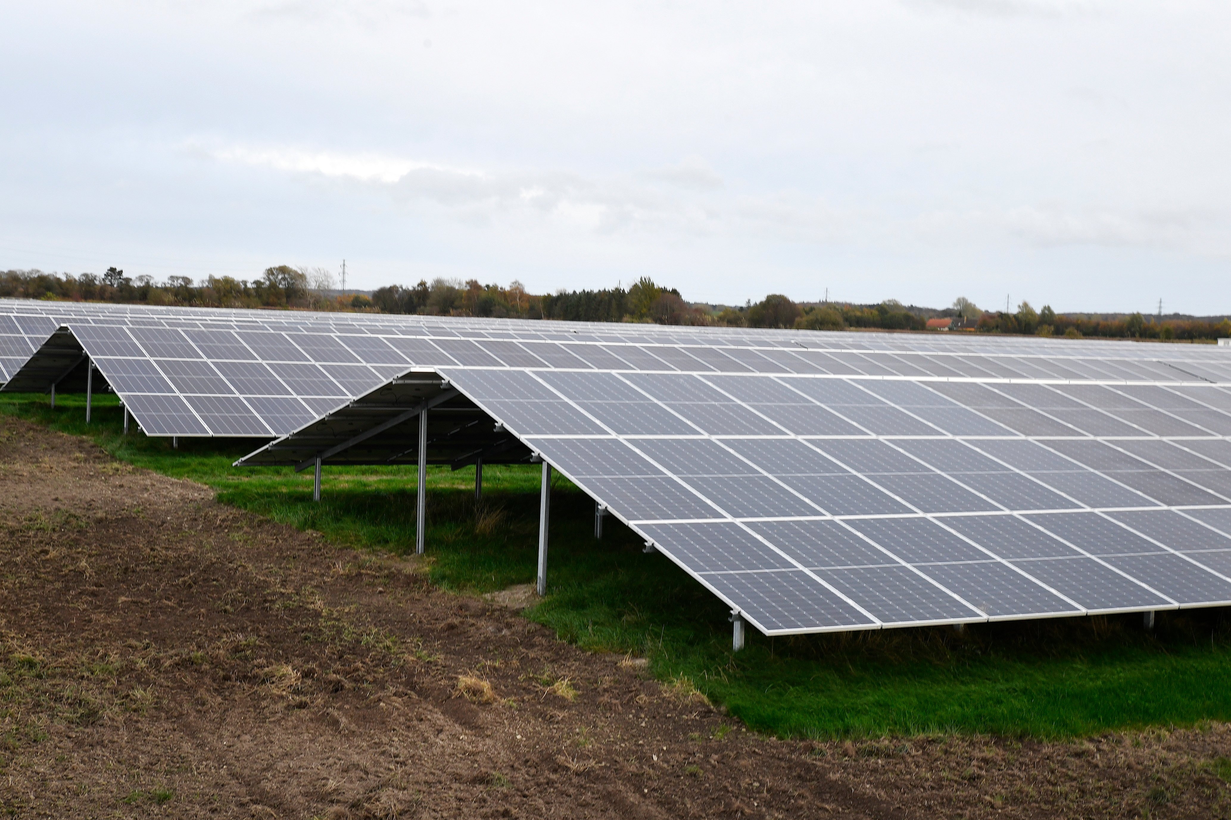 Nu ser kommunen på områder til solcellepark – Sjællandske Nyheder