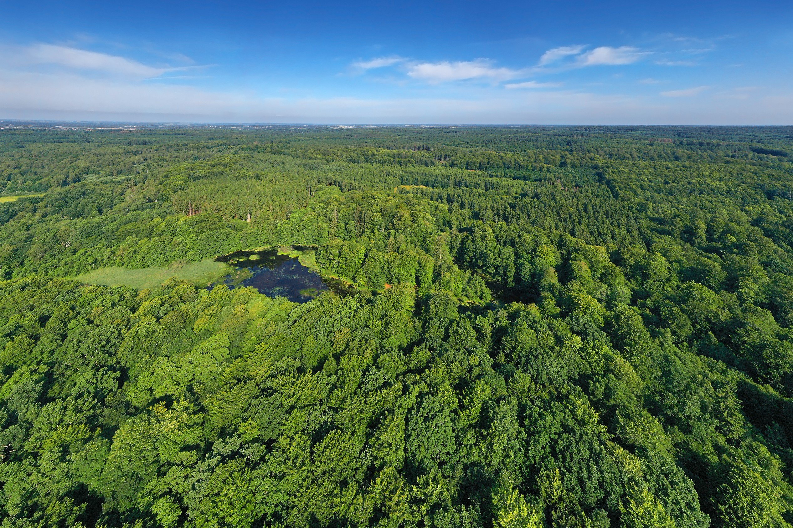 Her er den ny bestyrelse for nordsjællands naturnationalpark ...
