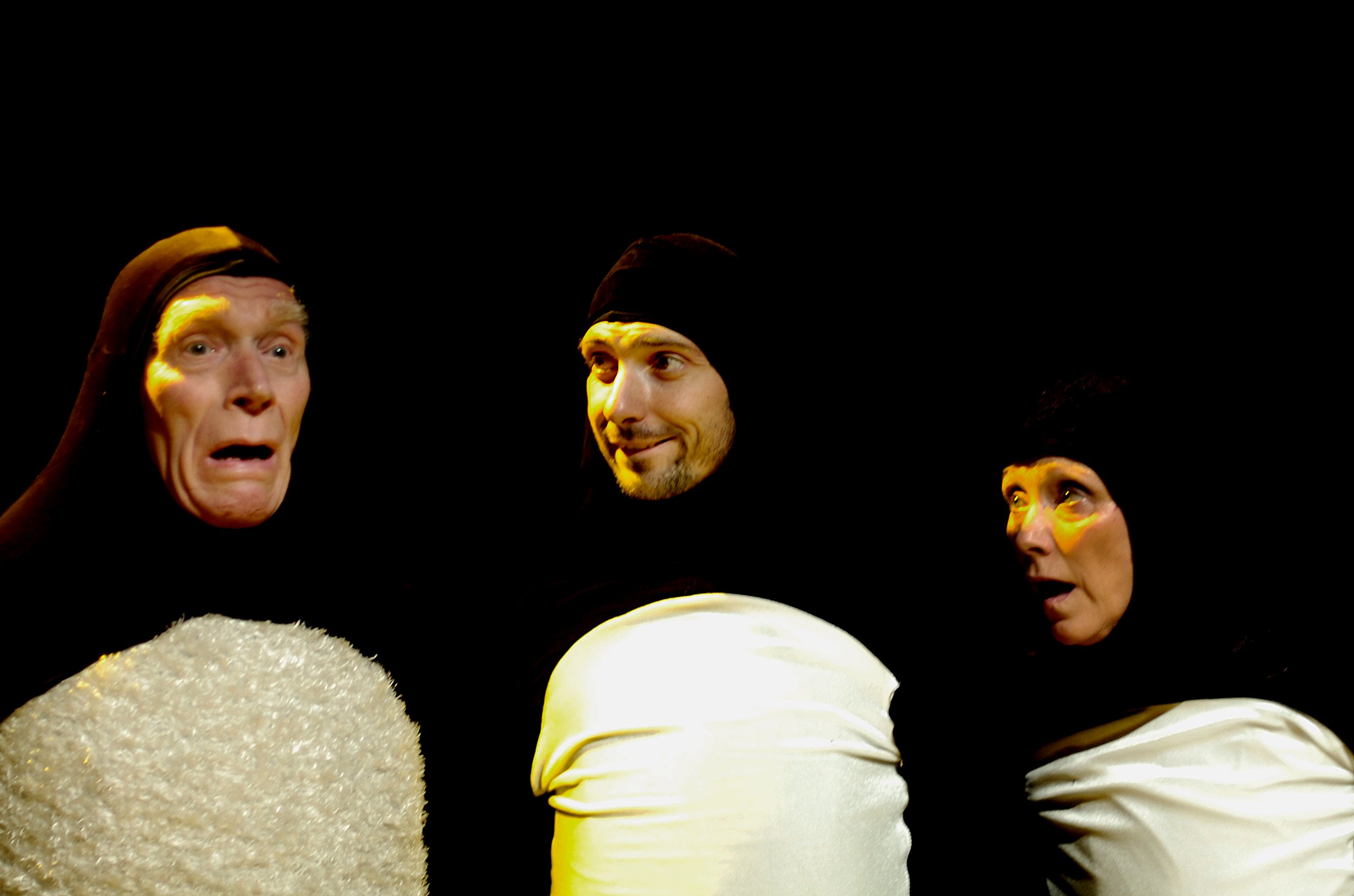 Dengang Holger Perfort optrådte som klimabevidst pingvin i ...