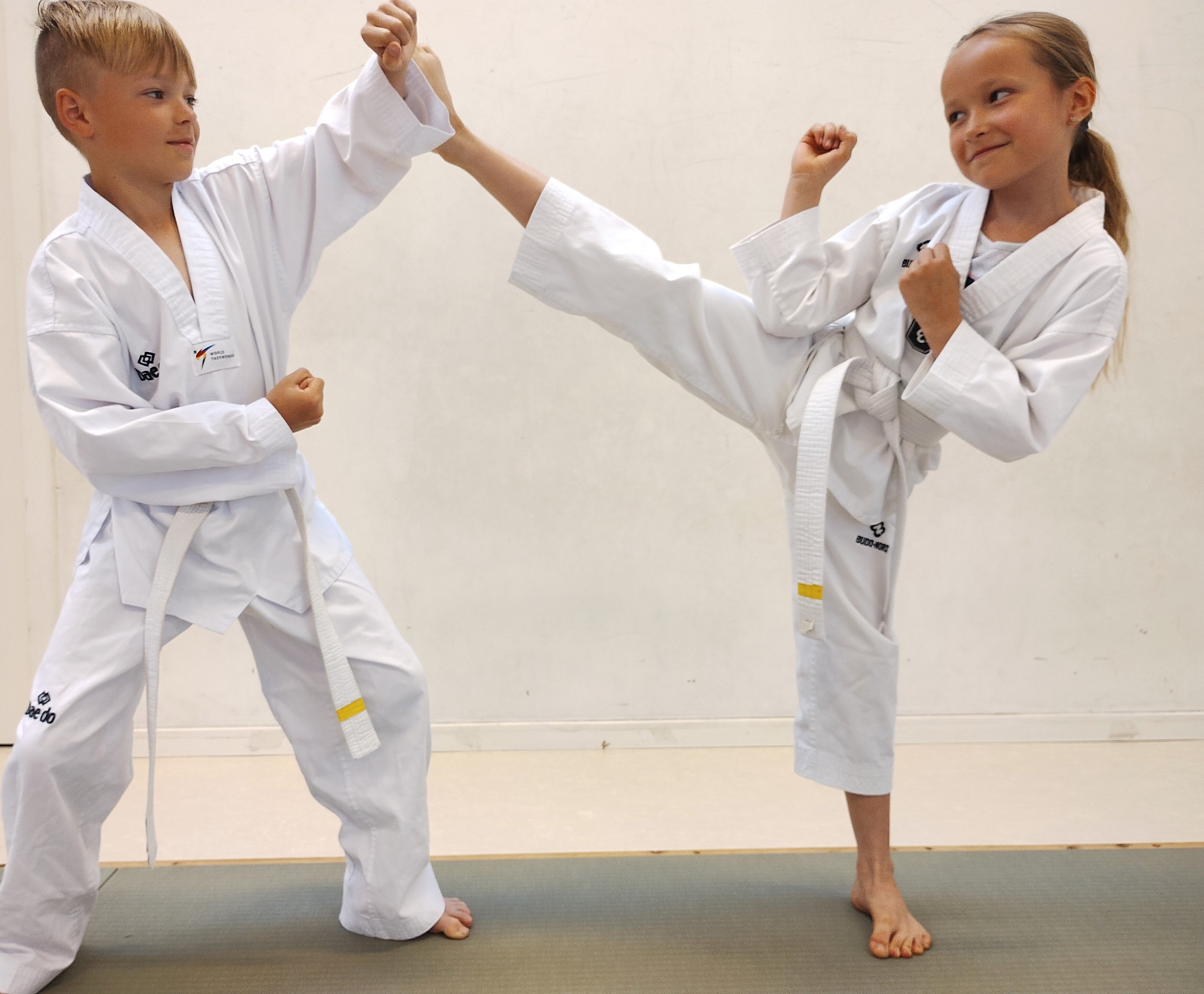 Taekwondo-opvisning – Sjællandske Nyheder