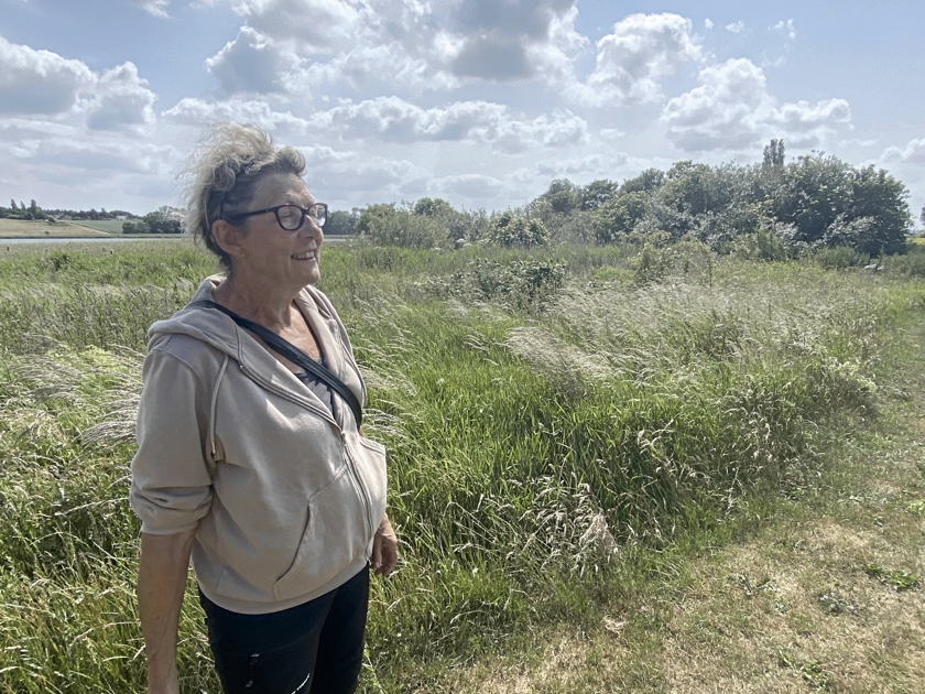Invasive arter bekæmpes bedst ved fælles hjælp – Sjællandske Nyheder Invasive arter bekæmpes bedst ved fælles hjælp – Sjællandske Nyheder