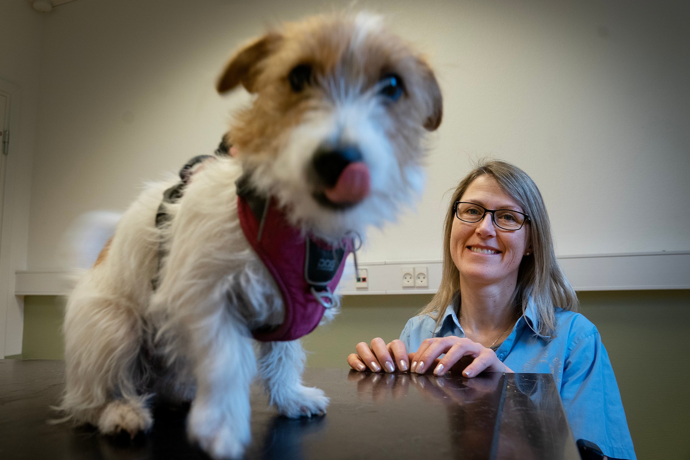Tre uger efter vi var flyttet sammen, flyttede han til Schweiz – Sjællandske Nyheder
