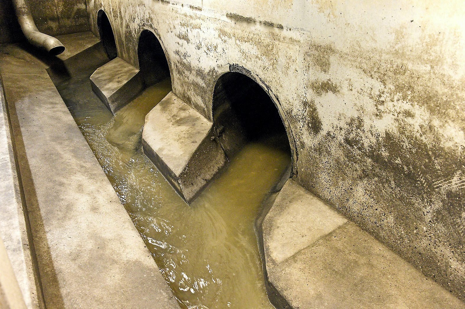 Flere renseanlæg kan stå foran lukning – Sjællandske Nyheder