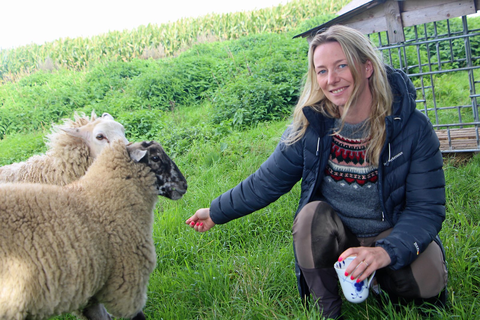 Fra rækkehus på Amager til stort landsted: Her er masser af luft, men ...