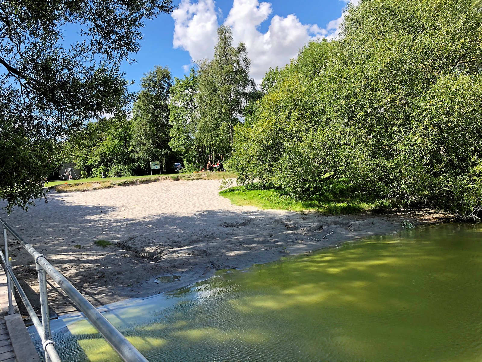 Giftige alger plager badestrand – Blå Flag er mere nede end oppe ...