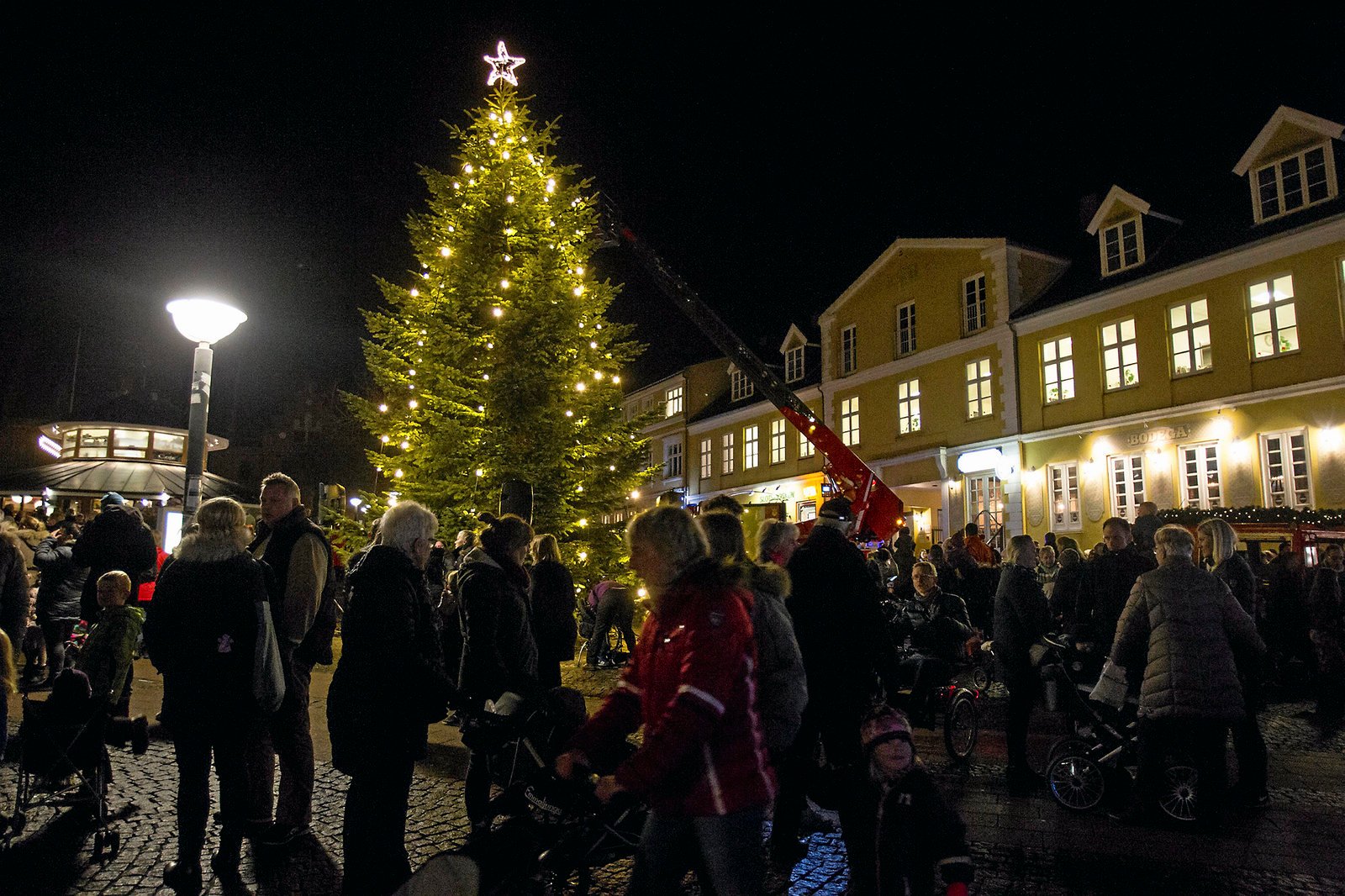 Efterlysning: Har du årets juletræ til Torvet? – Sjællandske Nyheder