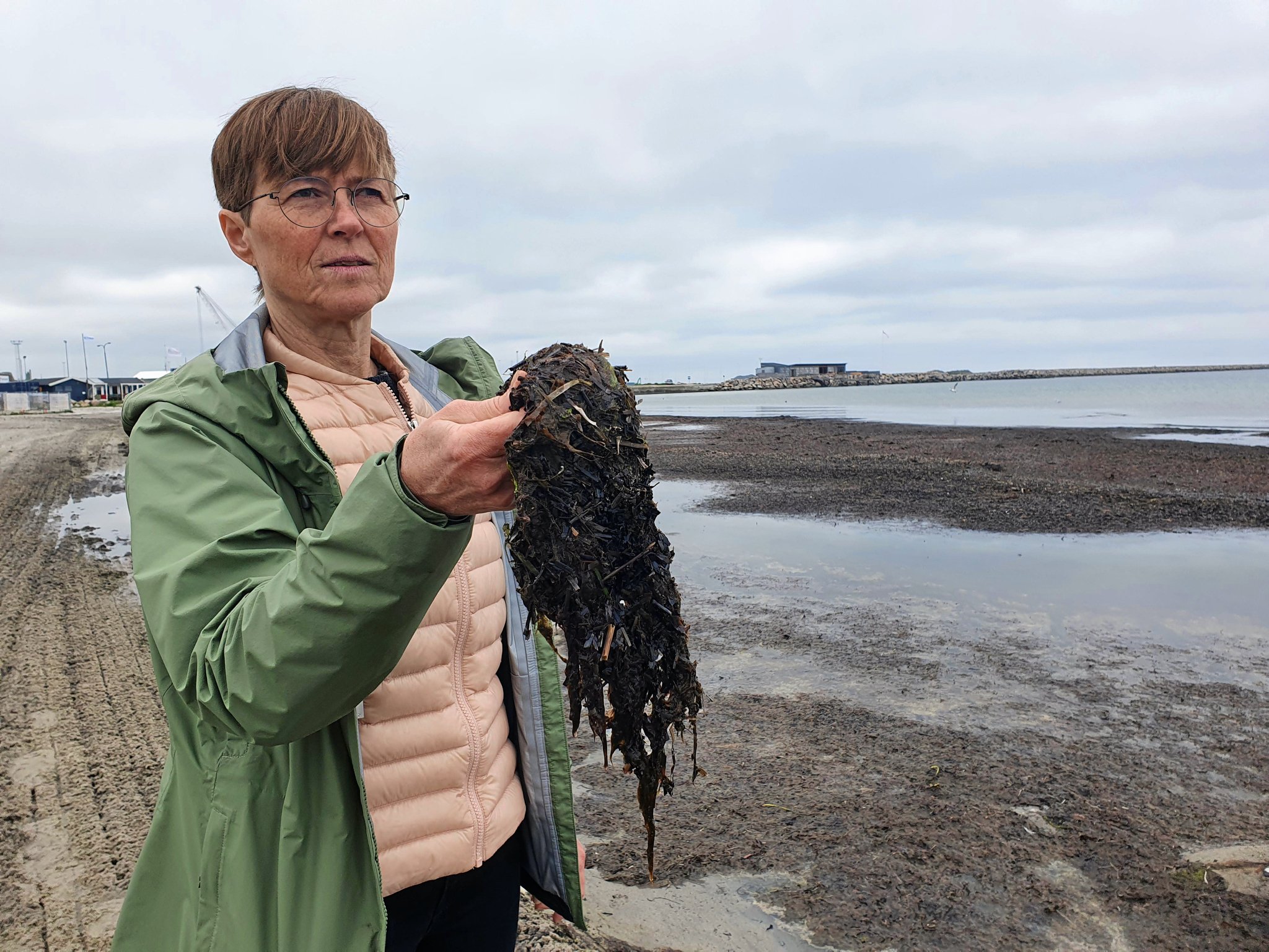 Vil have strand ‘i balance’: – Det bliver aldrig en Bali-strand ...