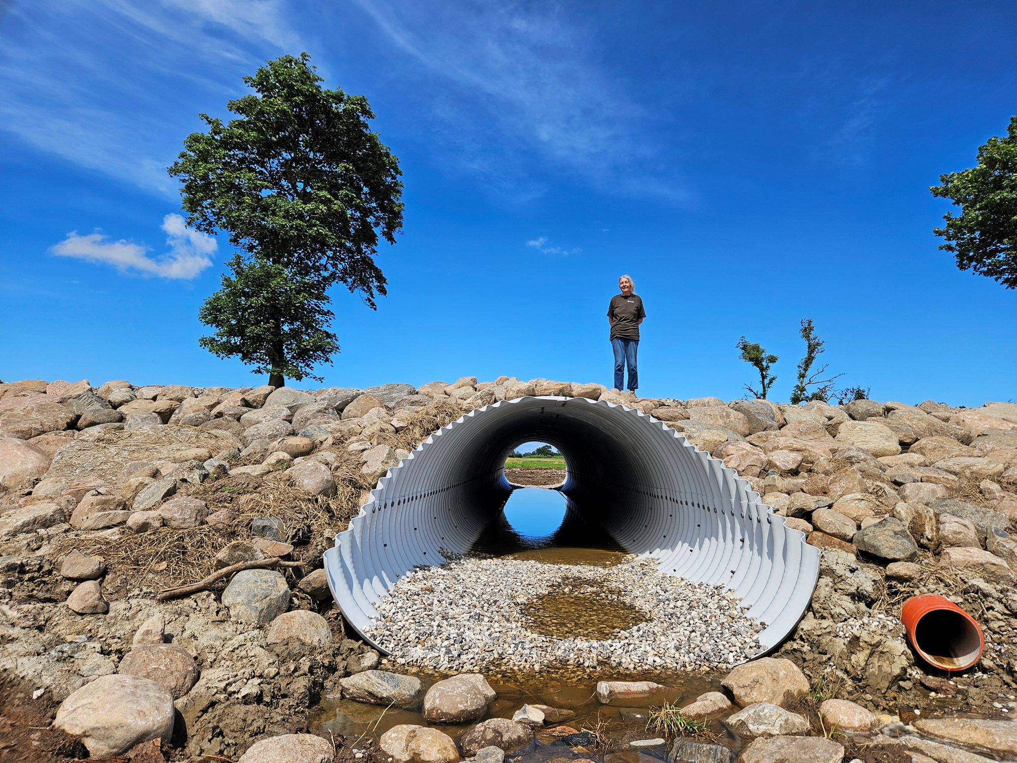 Tørlagt gennem 220 år – nu vender vandet tilbage – Sjællandske Nyheder
