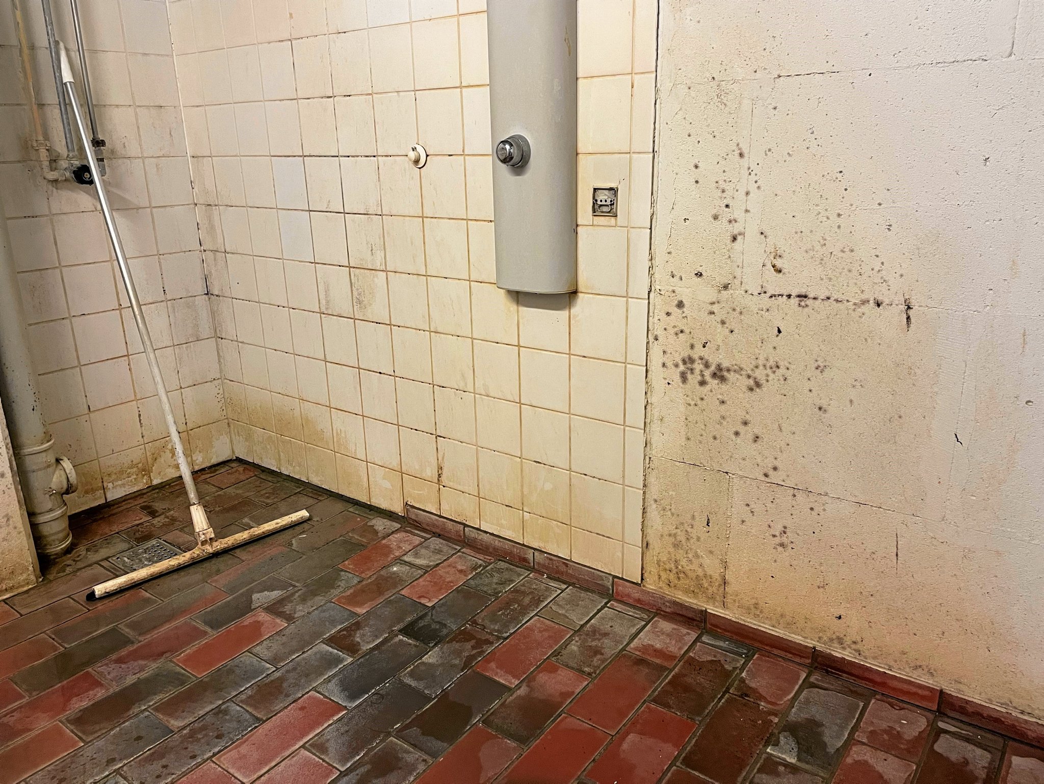 Skimmelsvamp og pladsmangel i baderummene – nu går millionrenovering i ...