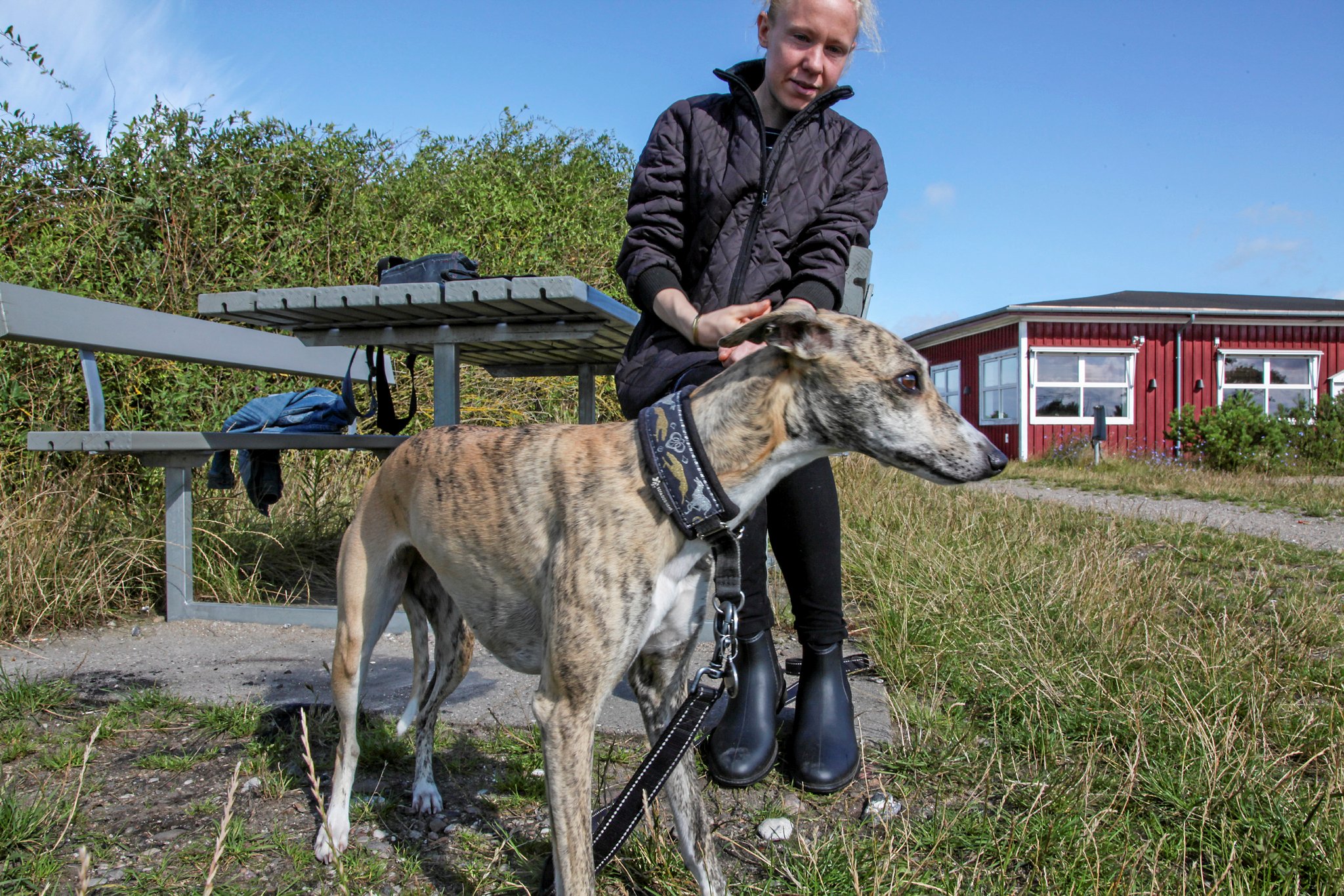 Servicehunden Raya har givet Simone mod på livet – Sjællandske Nyheder