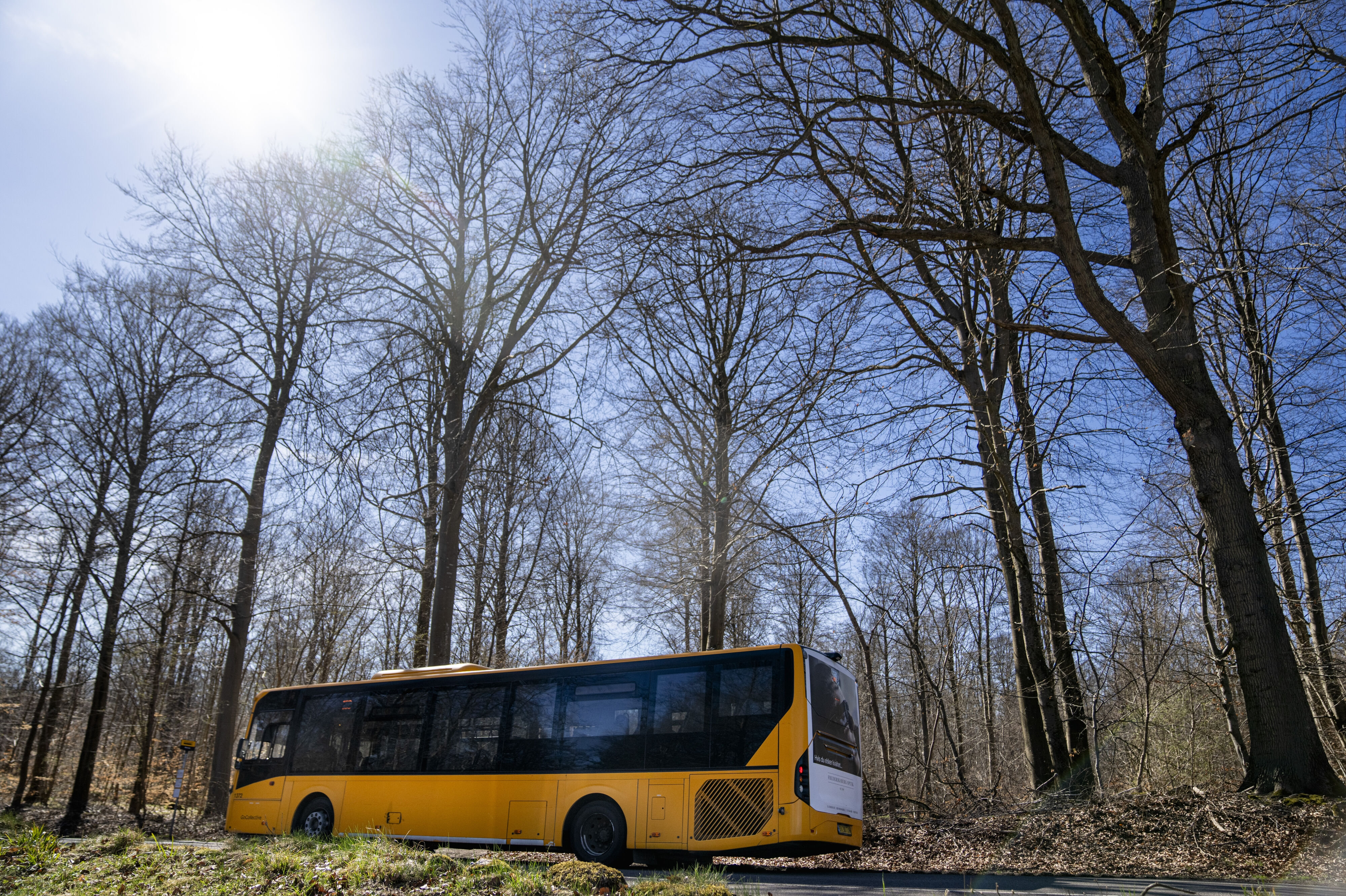 Busselskab får beslaglagt bus tilbage efter spritkørsel – Sjællandske ...