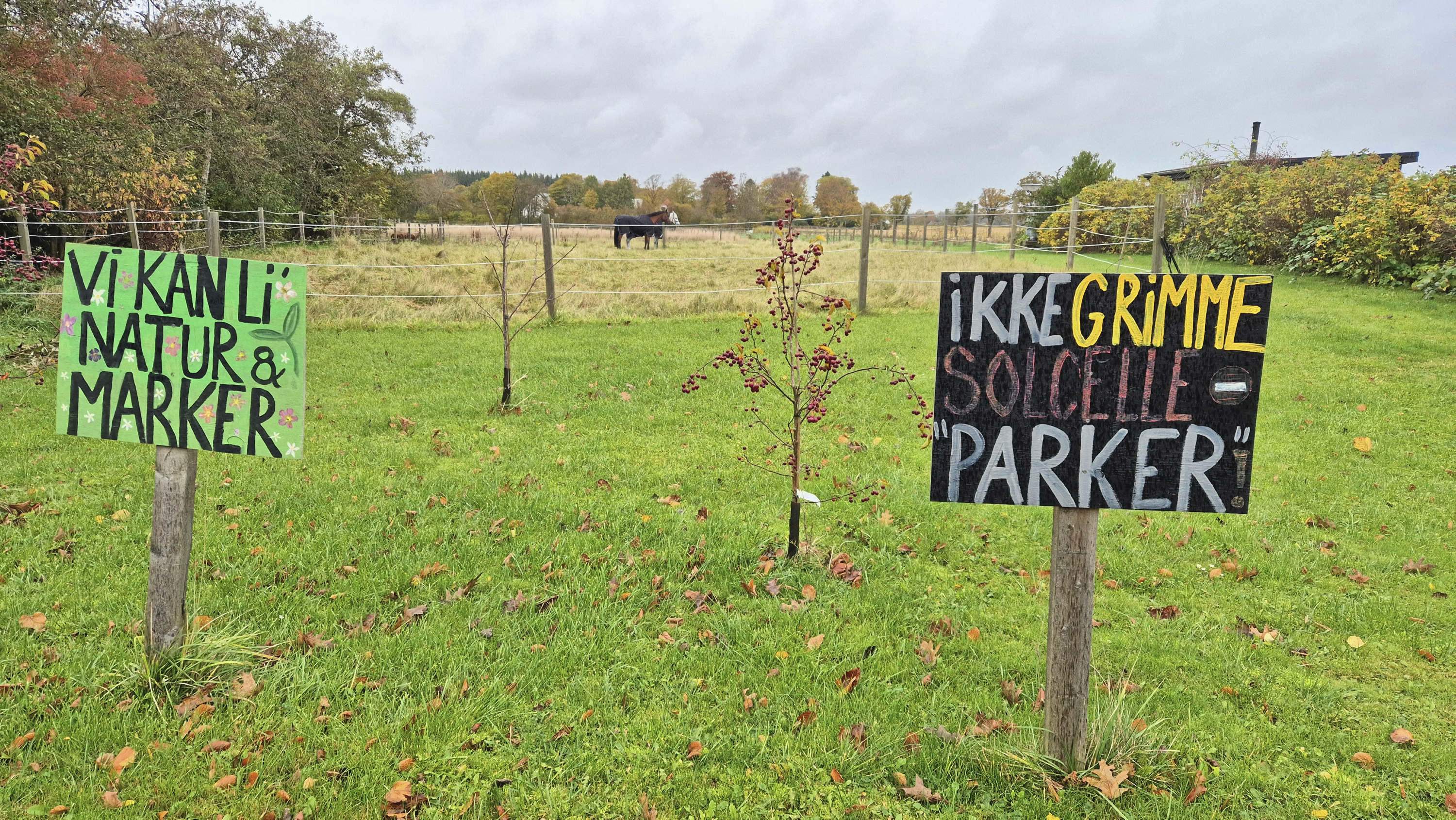 Næsten alle peger på samme problem: Vil have solceller taget af bordet ...