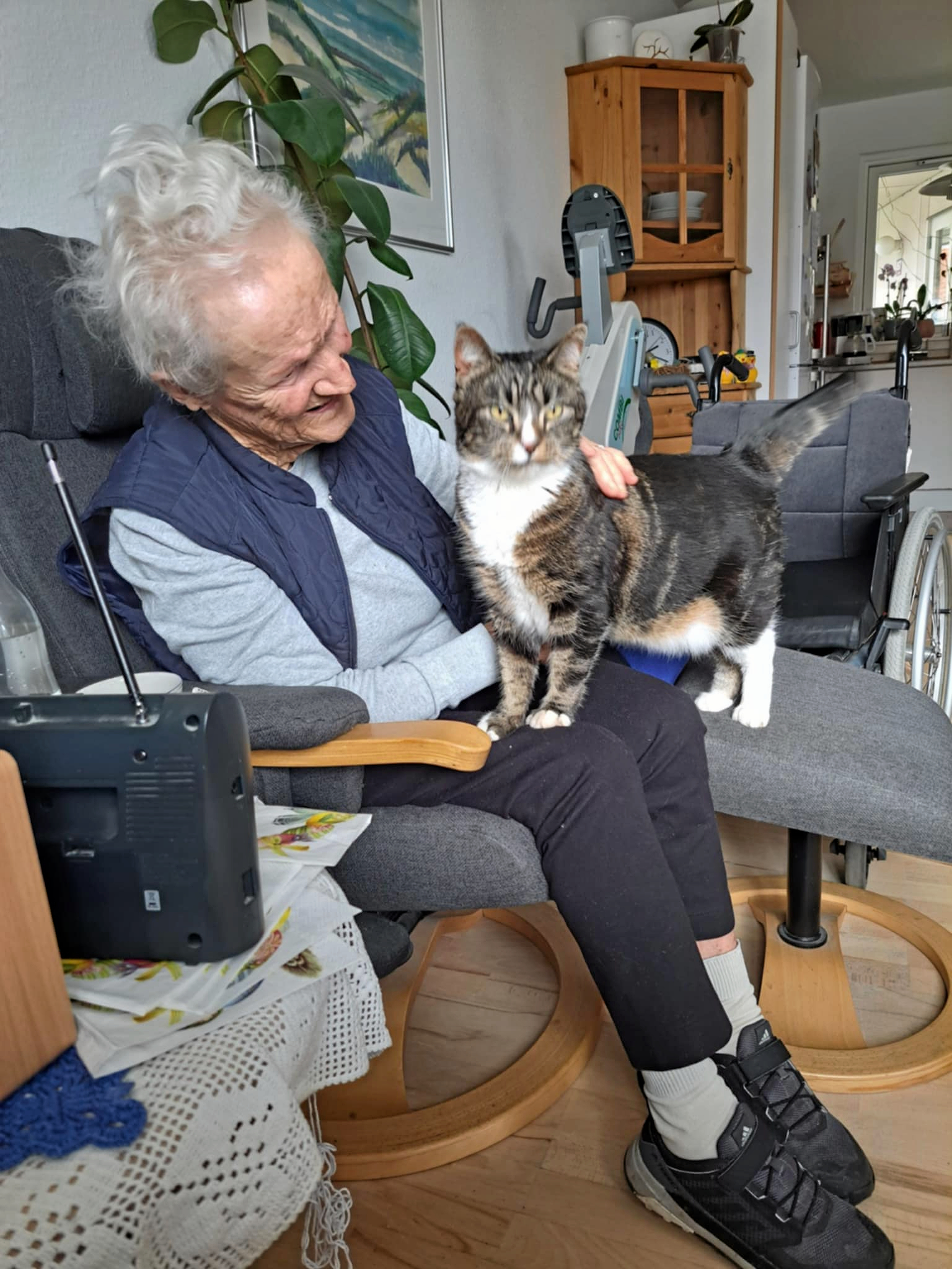 Inas mor ventede et år på plejebolig: – Det er uværdigt og skandaløst ...