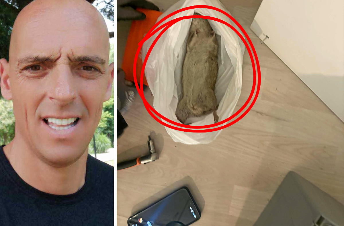 Dan lever i et ‘rottemareridt’ – roomien er flyttet ud og selv er han ...